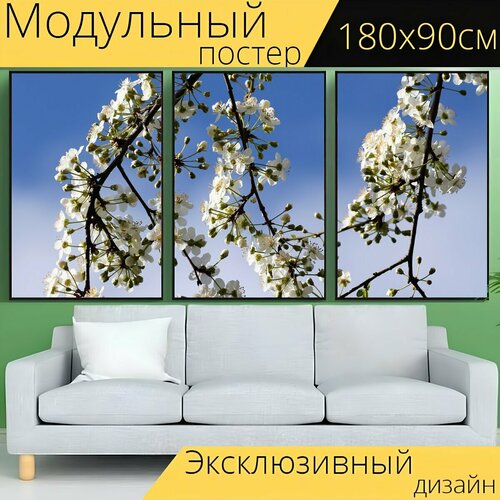 Модульный постер "Белые цветки, бутоны, ветви" 180 x 90 см. для интерьера