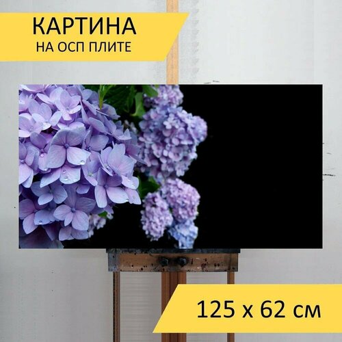 Картина на ОСП 125х62 см. "Гортензия, цветок, цвести" горизонтальная, для интерьера, с креплениями