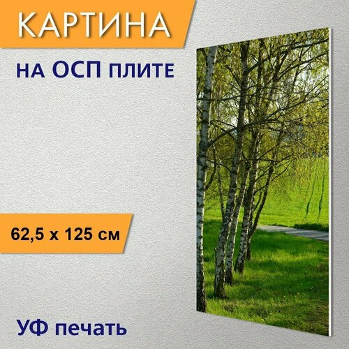 Вертикальная картина на ОСП "Березы, деревья, весна" 62x125 см. для интерьериа