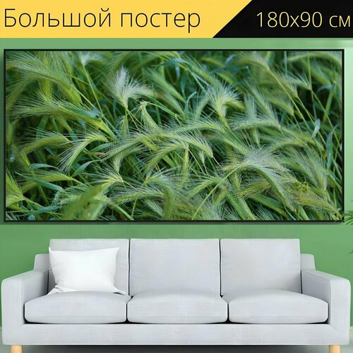 Большой постер "Трава, весна, природа" 180 x 90 см. для интерьера