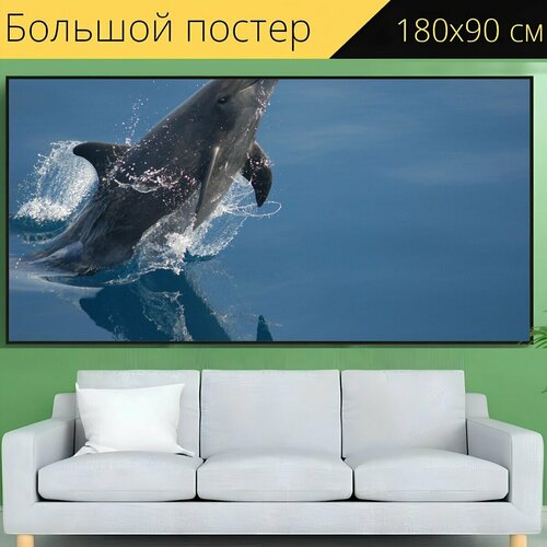 Большой постер "Бутылконосый дельфин, море, океан" 180 x 90 см. для интерьера