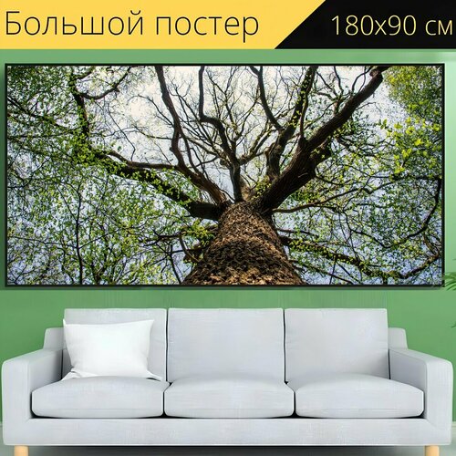 Большой постер "Дерево, природа, древесина" 180 x 90 см. для интерьера