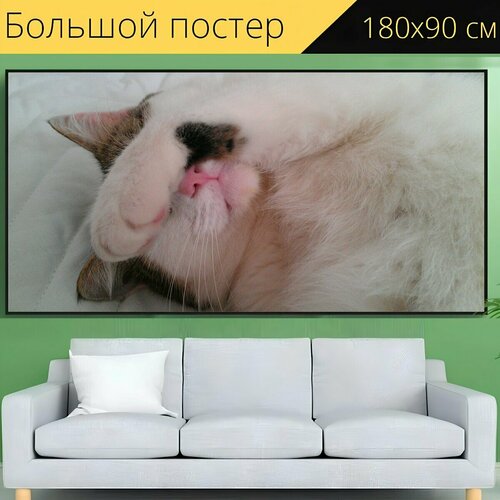Большой постер "Милый, лицо, морда кошки" 180 x 90 см. для интерьера