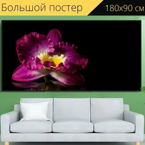 Большой постер "Цвести, орхидеи, отражение" 180 x 90 см. для интерьера
