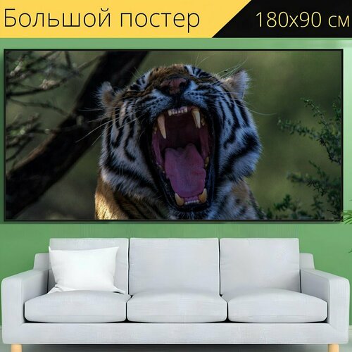 Большой постер "Тигр, большой кот, рев" 180 x 90 см. для интерьера