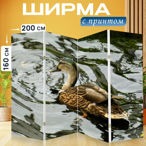 Ширма перегородка с принтом "Утка, птица, природа" на холсте - 200x160 см. для зонирования, раскладная