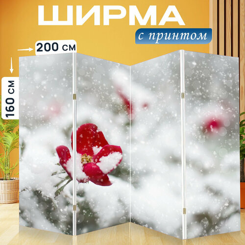 Ширма перегородка с принтом "Красная роза, снег, зима" на холсте - 200x160 см. для зонирования, раскладная
