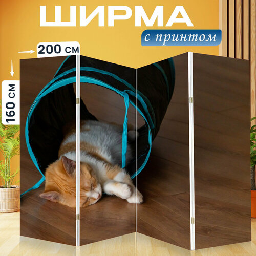 Ширма перегородка с принтом "Кошка, кошачий, котенок" на холсте - 200x160 см. для зонирования, раскладная