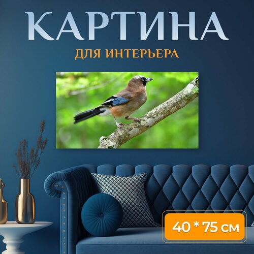 Картина на холсте "Дикие животные, птица, природные" на подрамнике 75х40 см. для интерьера