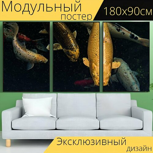 Модульный постер "Рыбы, кои, плавники" 180 x 90 см. для интерьера