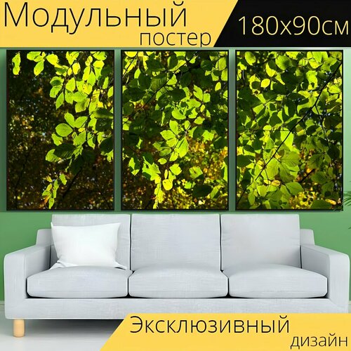 Модульный постер "Листья бука, листья, дерево" 180 x 90 см. для интерьера