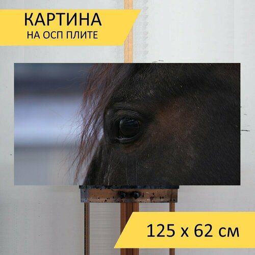 Картина на ОСП 125х62 см. "Конь, глаз, макро" горизонтальная, для интерьера, с креплениями