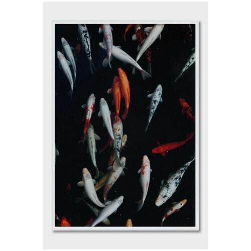 Постер для интерьера Postermarkt, 40х50 см в белой рамке, декор на стену Животные #83