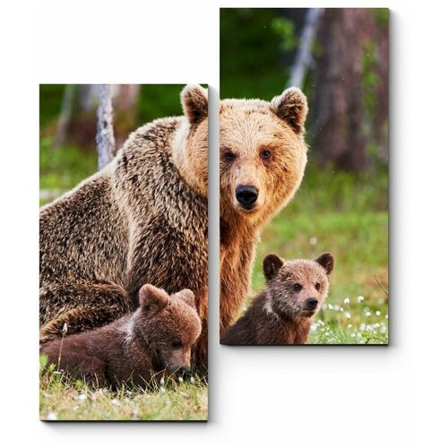 Модульная картина Семья очаровательных медведей 70x88
