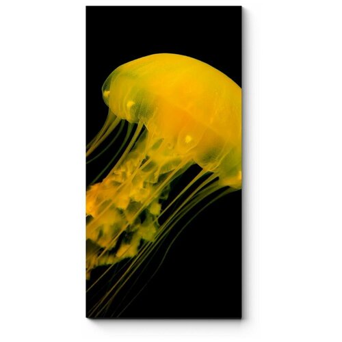 Модульная картина Золотая медуза80x160
