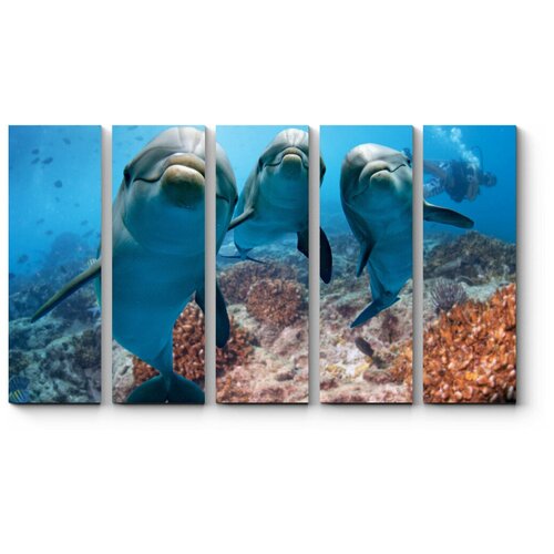 Модульная картина Портрет трио дельфинов 90x54