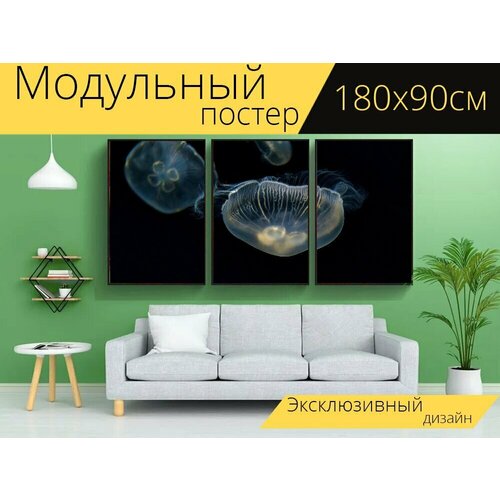 Модульный постер "Медуза, море желе, животные" 180 x 90 см. для интерьера
