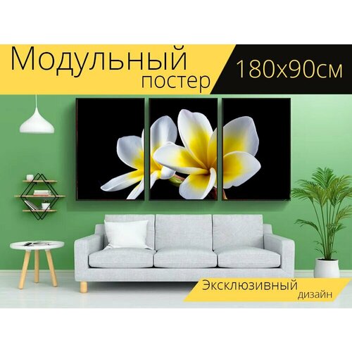 Модульный постер "Цвести, цветок, франжипани" 180 x 90 см. для интерьера