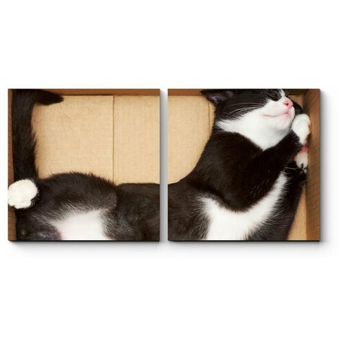 Модульная картина Кот в картонном домике 140x70