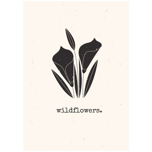 Постер / Плакат / Картина Цветы и растения - Полевые цветы 50х70 см в раме