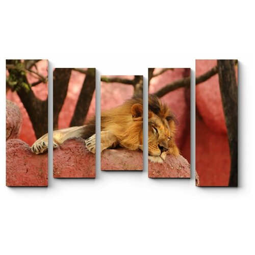 Модульная картина Африканский лев отдыхает160x96