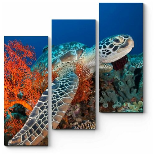 Модульная картина Морская черепаха в кораллах140x149
