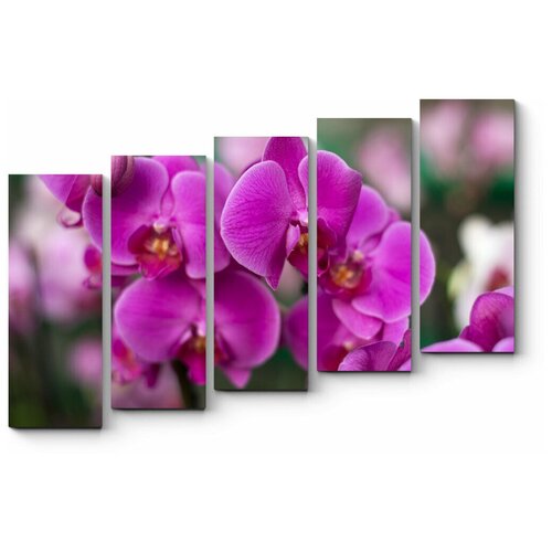 Модульная картина Прекрасные и нежные орхидеи 120x84