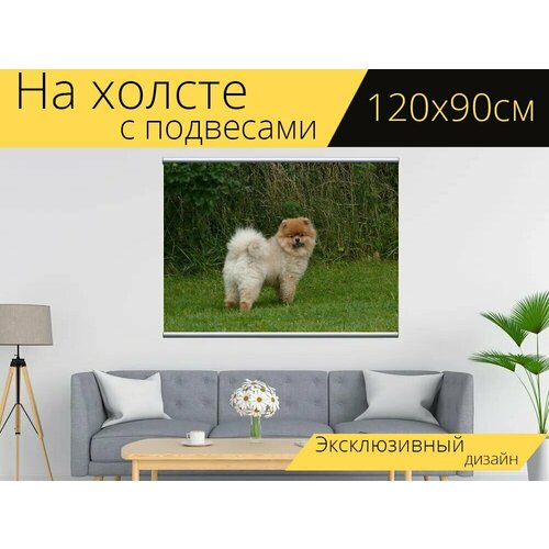 Картина на холсте "Карликовый шпиц, поморская, собака" с подвесами 120х90 см. для интерьера