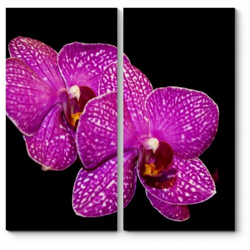 Модульная картина Тропическая орхидея 100x100