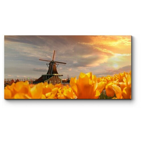 Модульная картина Ветряная мельница и желтые тюльпаны на закате 100x50