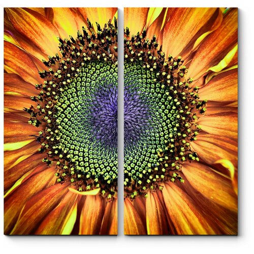 Модульная картина Внутри цветка солнца 70x70