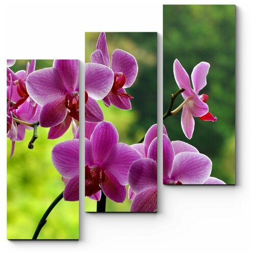 Модульная картина Неподражаемые орхидеи 90x96