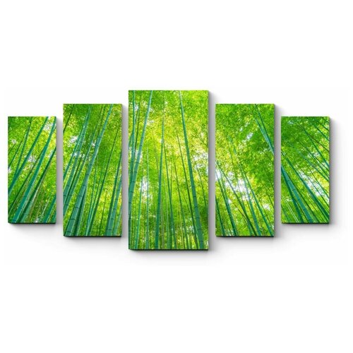Модульная картина Бамбуковый лес 100x55