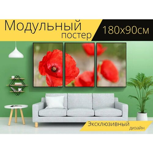 Модульный постер "Мака, цветок, красный" 180 x 90 см. для интерьера