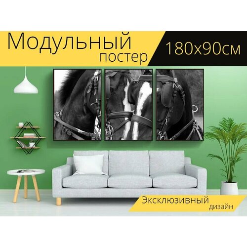 Модульный постер "Лошади, тактический разговор, катание на лошадях" 180 x 90 см. для интерьера