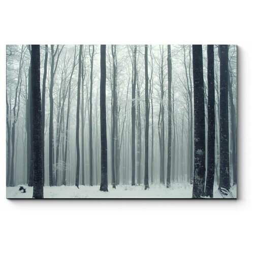 Модульная картина В зимнем лесу50x33