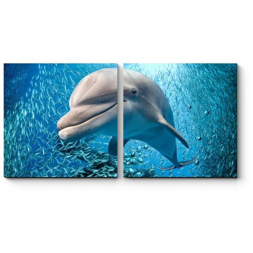 Модульная картина Улыбка дельфина 160x80