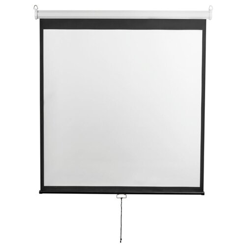 Матовый белый экран Digis OPTIMAL-D DSOD-1107, 135", белый