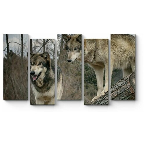 Модульная картина Волки в осеннем лесу 140x81