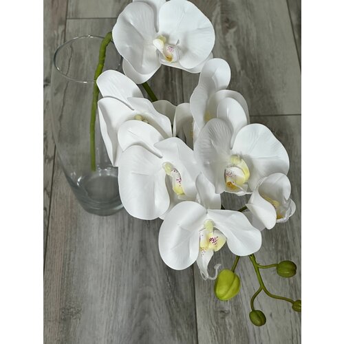 Искусственные цветы ветка Орхидеи латекс силикон (как живые)для декора интерьера. Интерьерная композиция из цветов