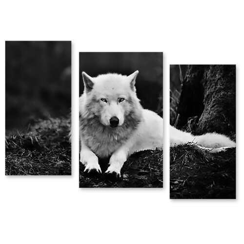 Модульная картина на холсте "Волк" 120x88 см