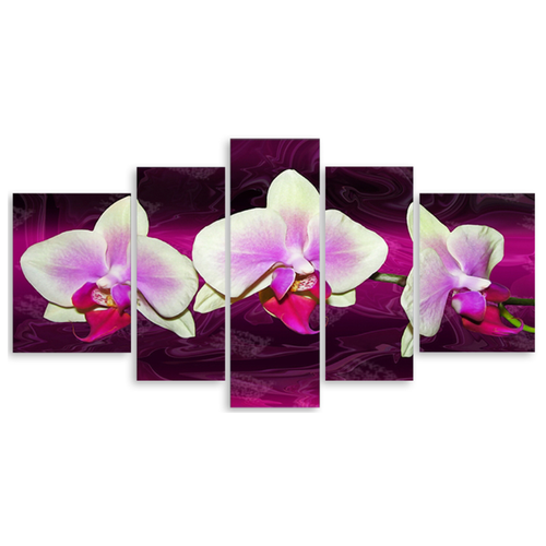 Модульная картина на холсте "Орхидеи" 150x80 см