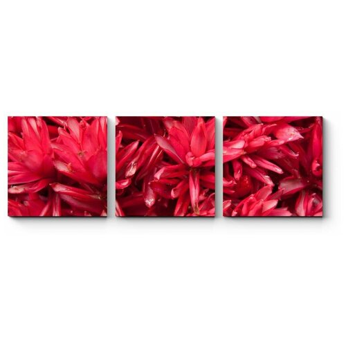Модульная картина Красные тропические цветы 90x30