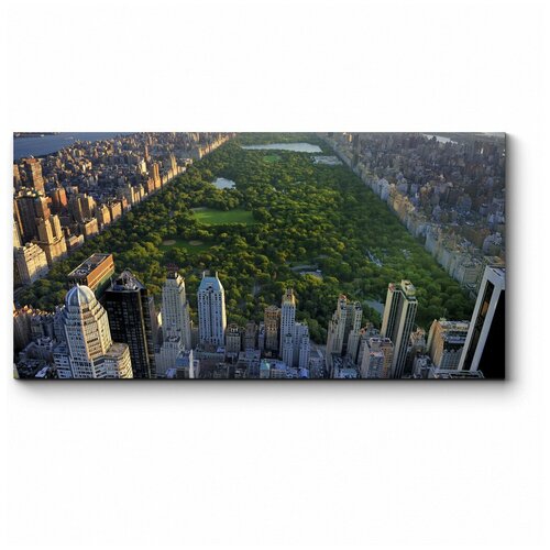 Модульная картина Центральный парк с высоты птичьего полета 80x40