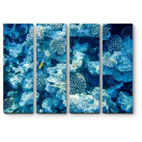 Модульная картина Коралловые рифы 80x60