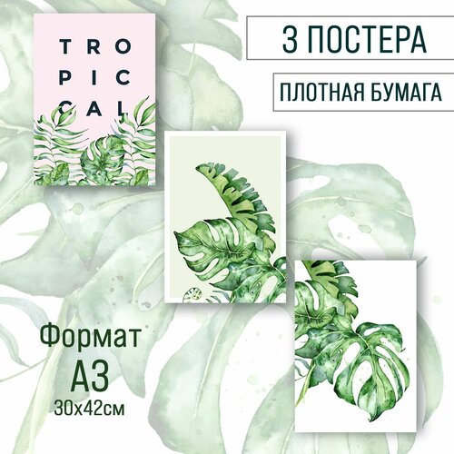 Набор из 3х постеров "Тропические Листья"