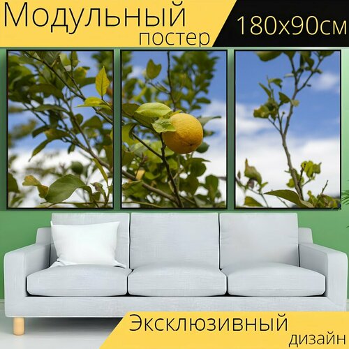 Модульный постер "Лимон, фрукты, витамины" 180 x 90 см. для интерьера