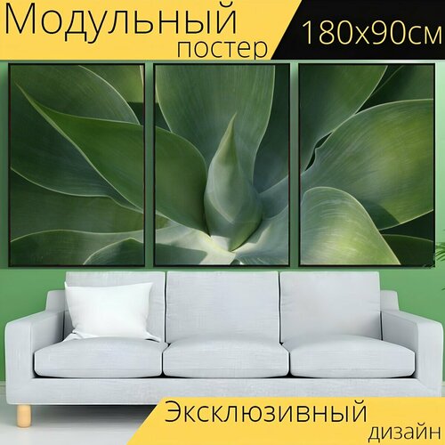 Модульный постер "Толстолистное растение, зеленый, сочный" 180 x 90 см. для интерьера