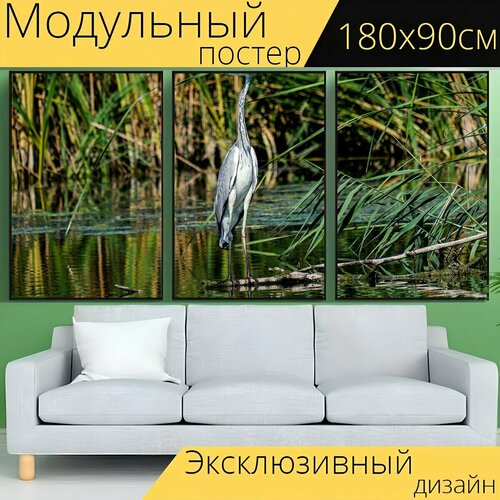 Модульный постер "Серая цапля, птица, болотная птица" 180 x 90 см. для интерьера