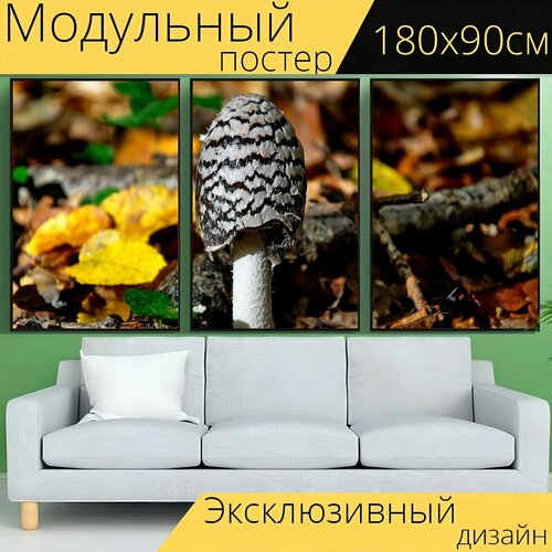 Модульный постер "Осень, гриб, лес" 180 x 90 см. для интерьера